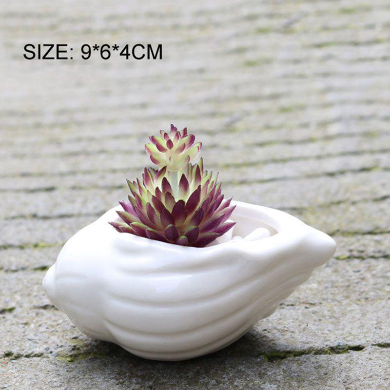 Buy 6pcs Mini White Small Flowerpot Shell Shape Ceramic Succulent Plant ...