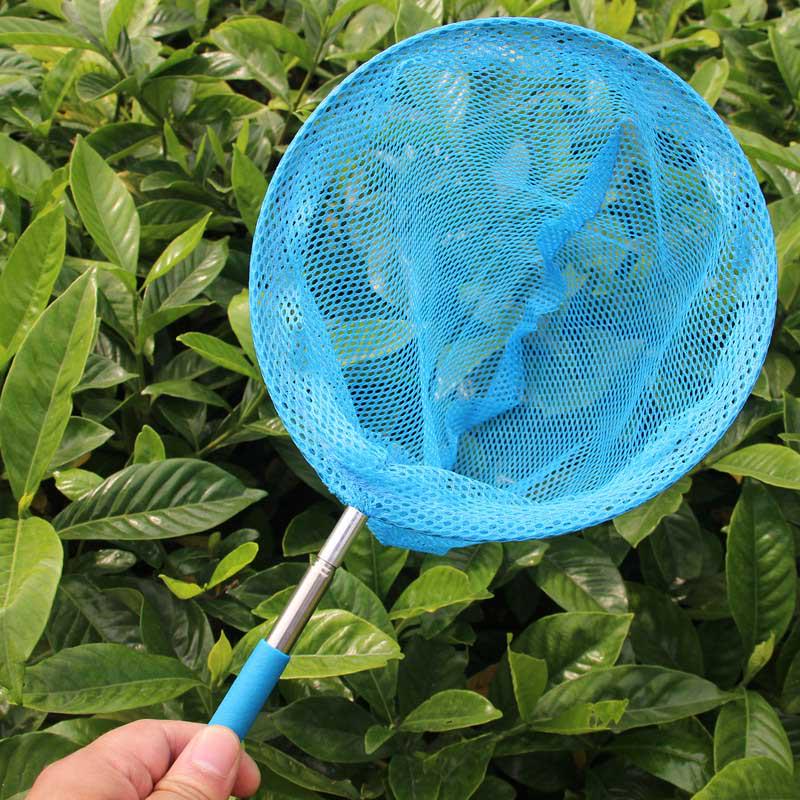 Buy 3pcs Butterfly Net Telescopic Extendable For Catching Bugs Insect ...