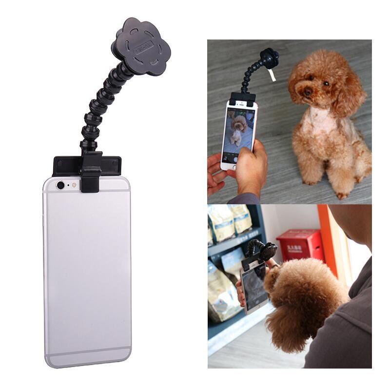 Buy Portable Pet Selfie Stick Phone Attachment Dog Cat Take Photos ...