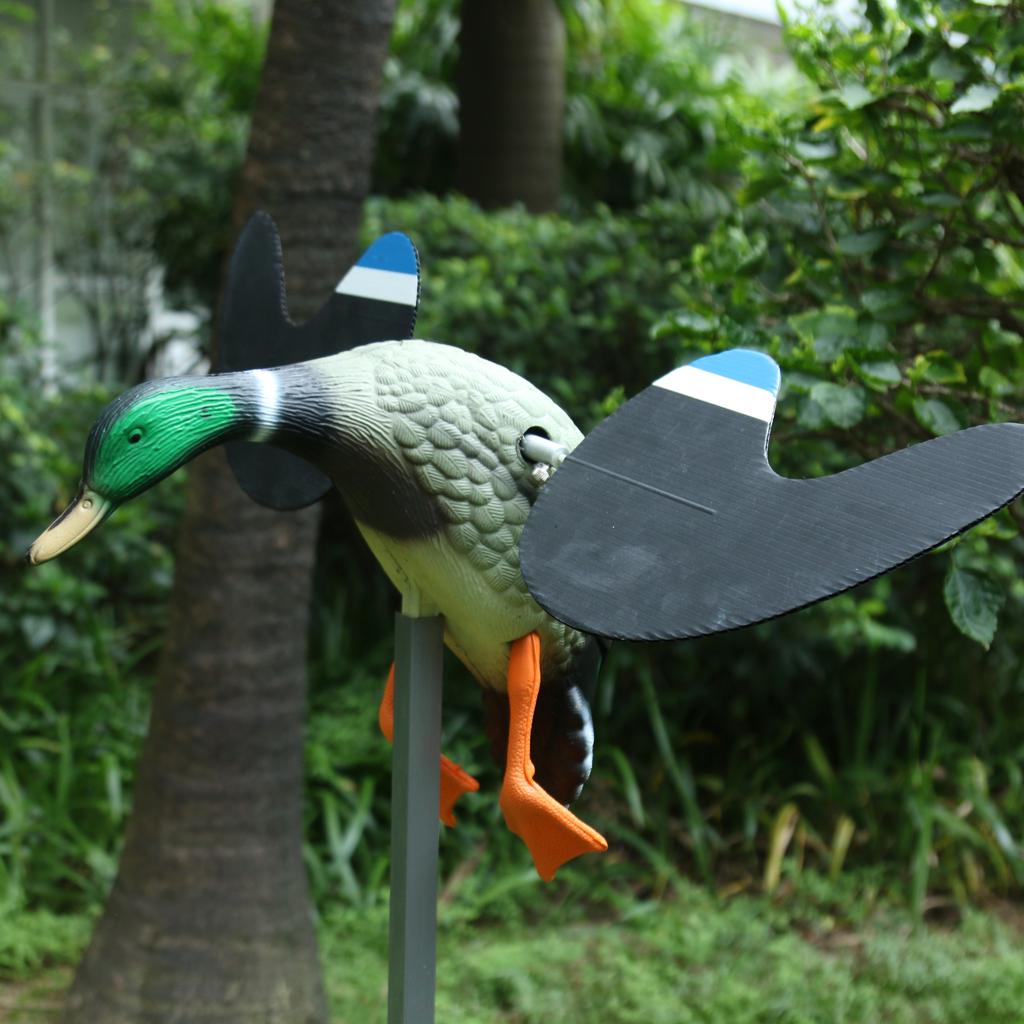 Buy Hunting Duck Decoy Electric Flying with Remote Control Drake at ...