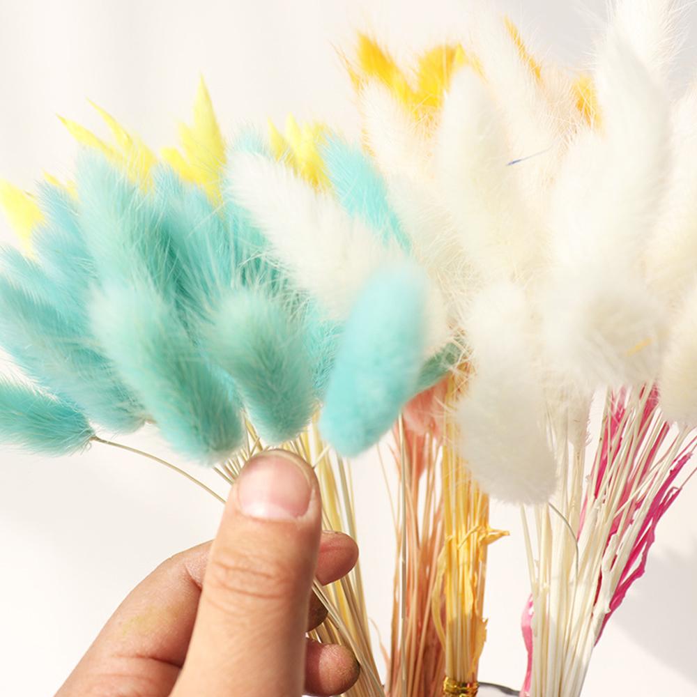 Buy 30/60/100Pcs 45Cm Natural Dried Flowers Reed Rabbit Tail Grass ...