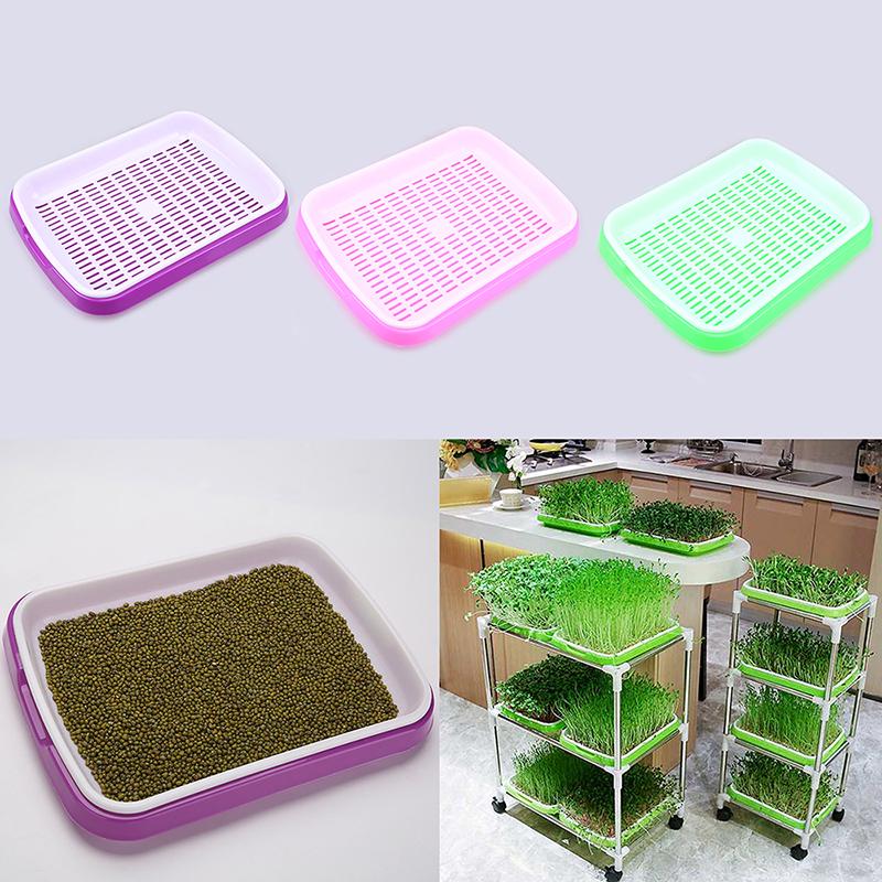 Buy Double-layer Soilless Bean Seed Tray Hydroponics Nursery Pot ...