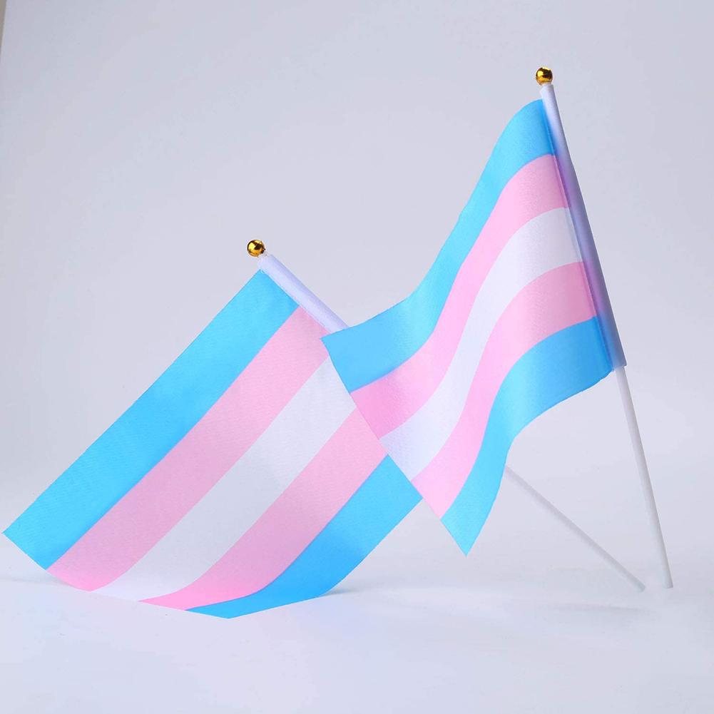 Cumpără 10PCS/Pack 14 * 21CM Gay Pride Steaguri ușor să dețină Mini ...