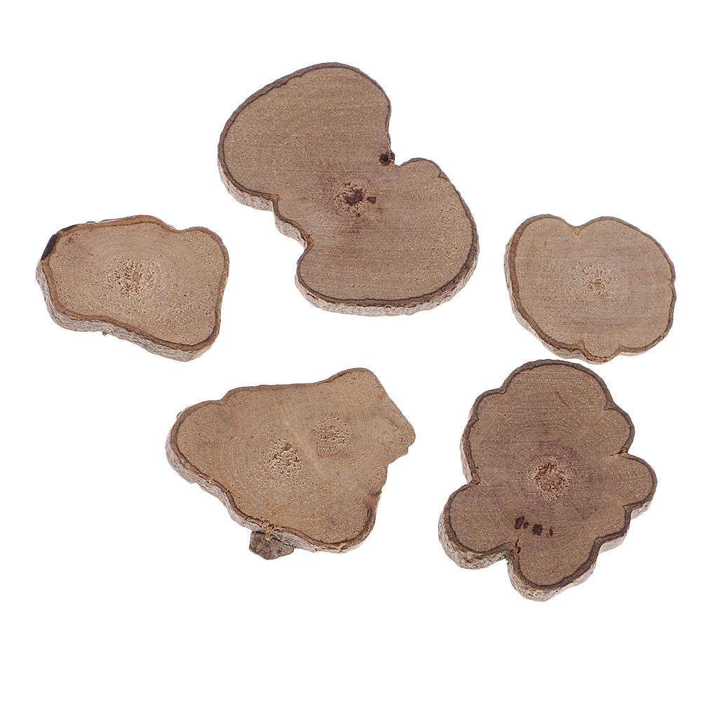 Buy 20pcs Irregular Shapes Wood Log Slices Discs Decorative Rustic ...
