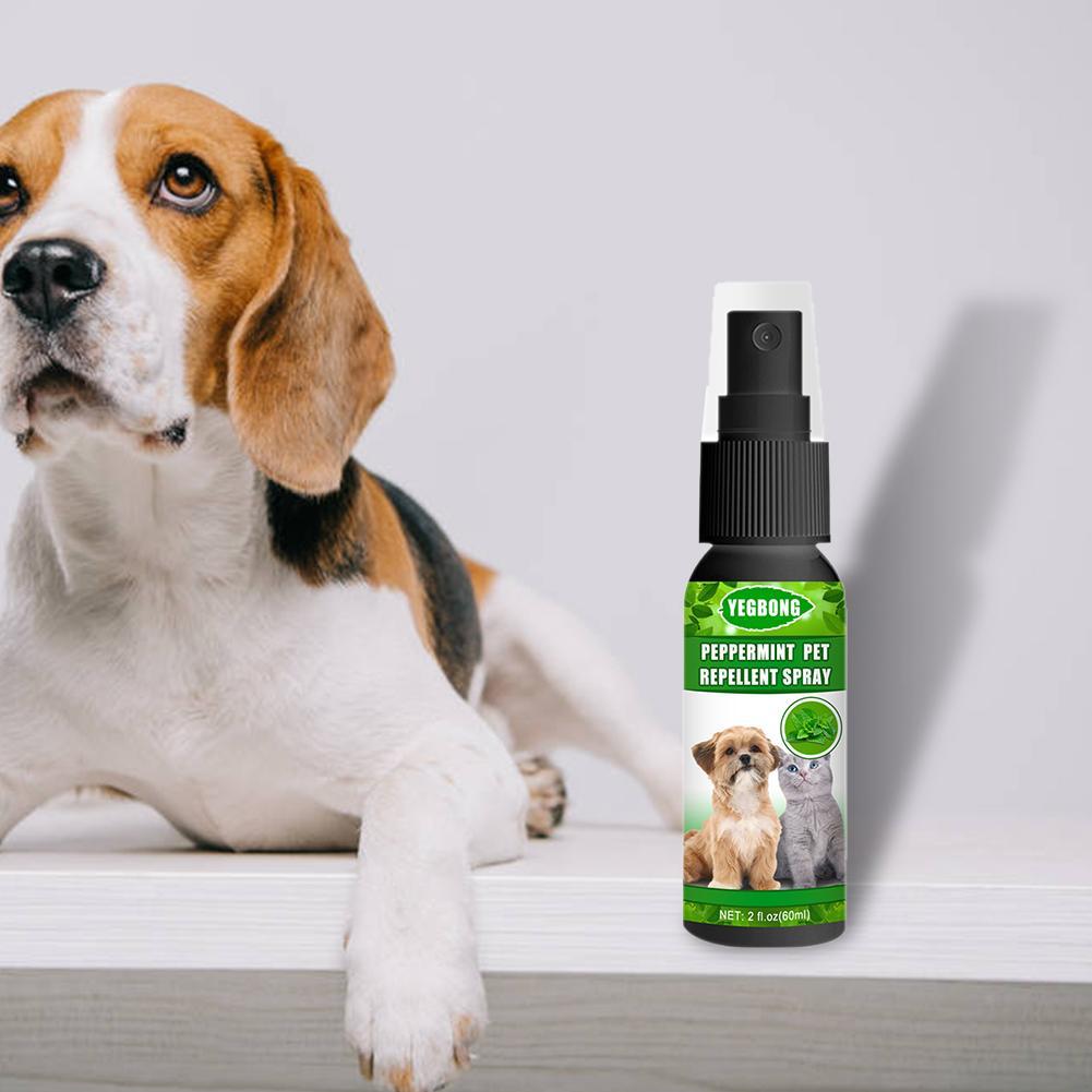 Buy Flea Lice Insect Repellent Killer Liquid Treatment Kills And Spray ...