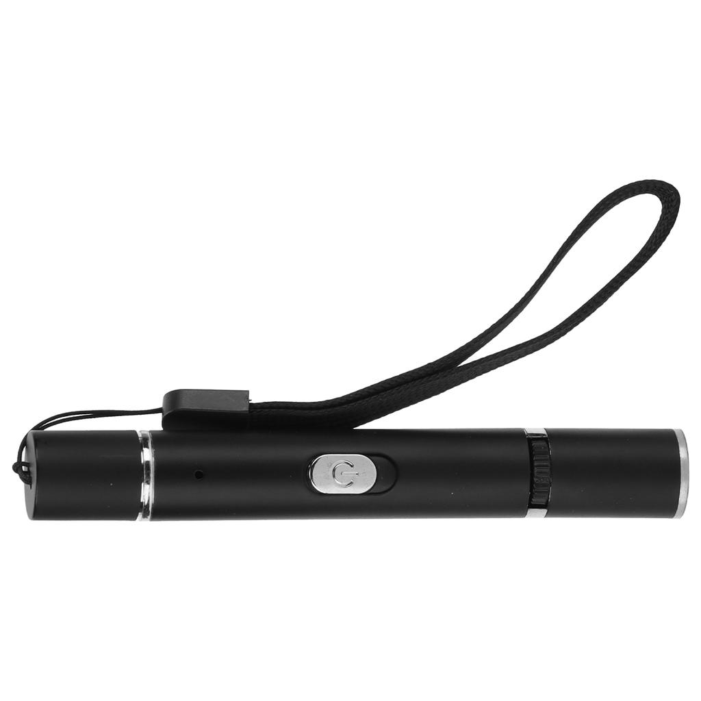 Pet Moss Light Hand Held LED UV Flashlight for Detecting Dog Cat Urine ...