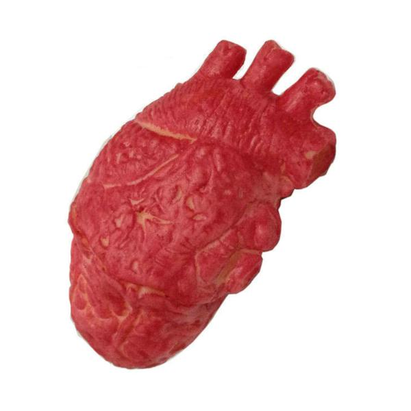Buy 2pcs Simulation Heart Brain Bloody Realistic Scary Trick Prop ...