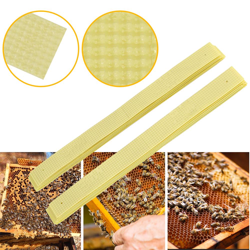 Buy 40pcs Strips ManHao Fluvalinate Strip Bee Mite Varroa Killer ...