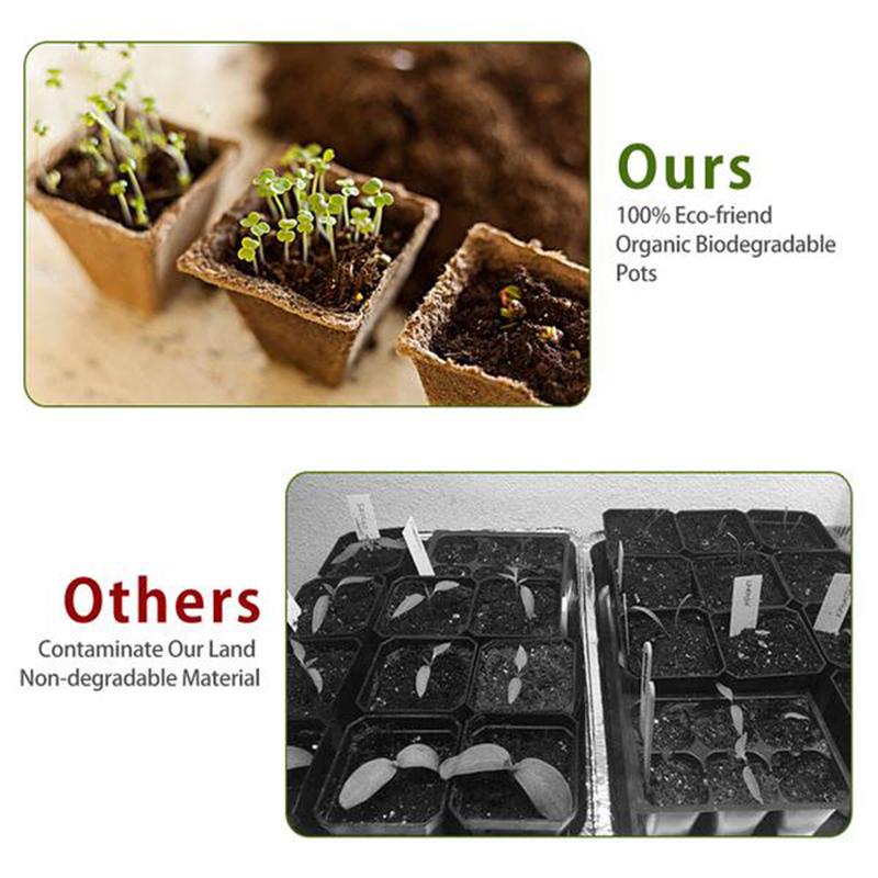 Buy 10/20PCS Paper Pulp 12Cells Nursery Cup Seedling Herb Seed Plant ...