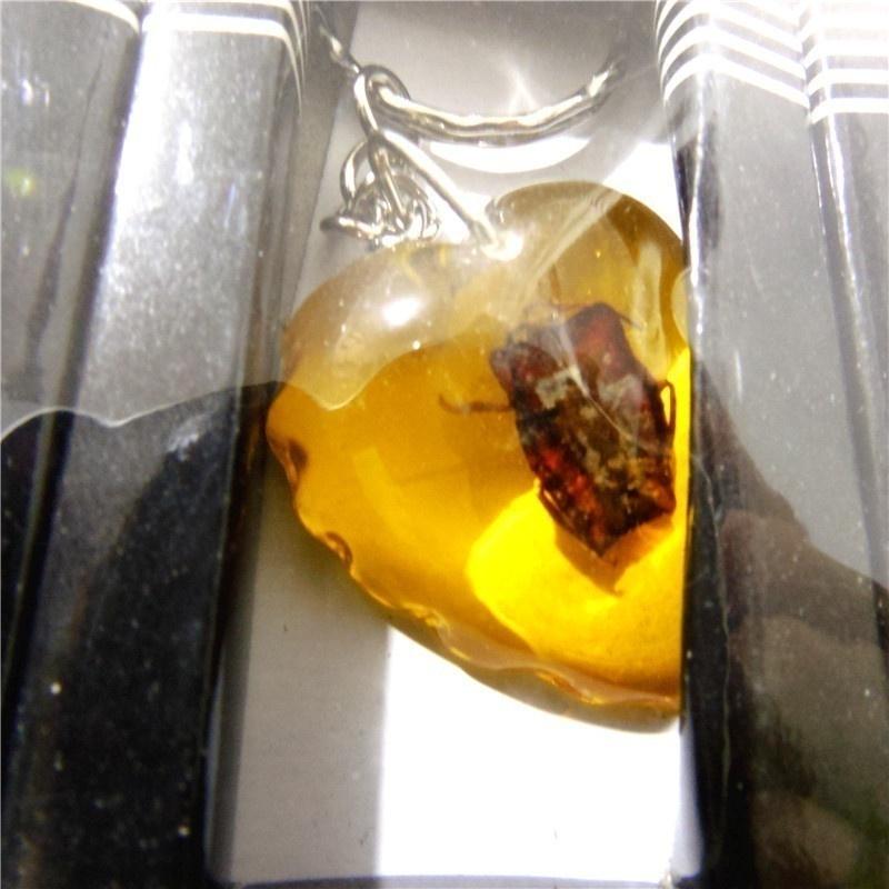 Buy Creative Insect Amber Keychain Unique Keyring Car Accessory ...