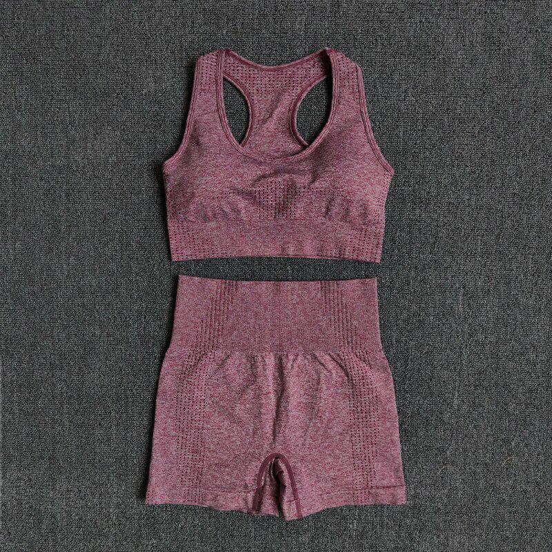 2PCS Yoga Set Women Seamless Sports Bra High Waist Fitness Gym Shorts Gym Set Running Sportswear ...