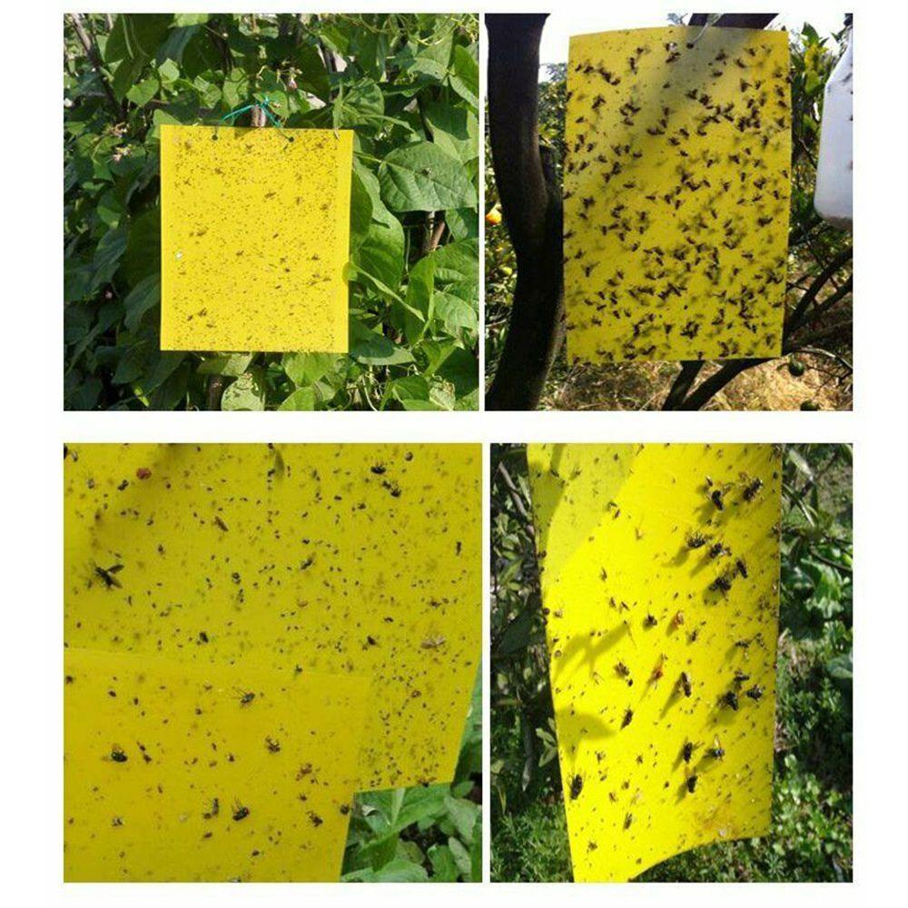 10/20/50/100pcs New Wasp Fly Aphids Lot Yellow Sticky Glue paper Insect ...