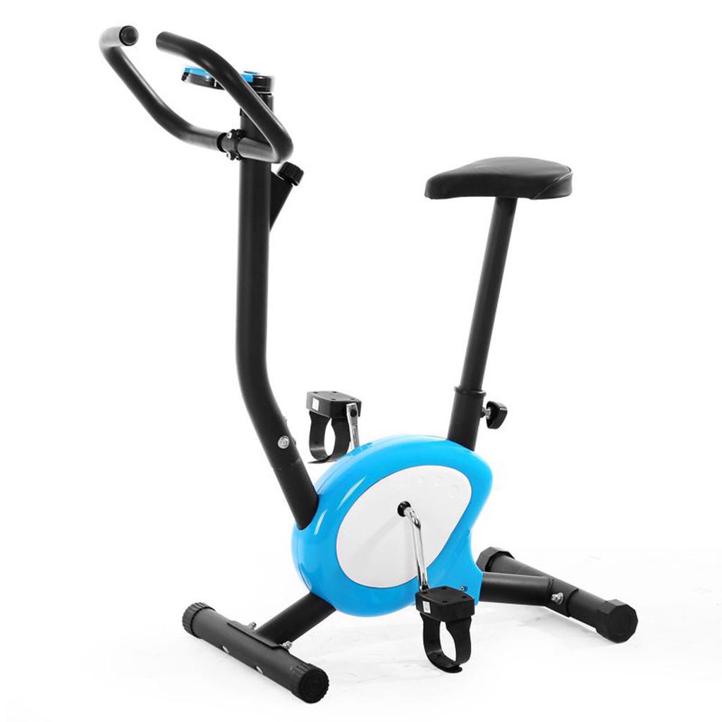 Buy Exercise Bike Training Bicycle Cardio Fitness Sports Cycling ...