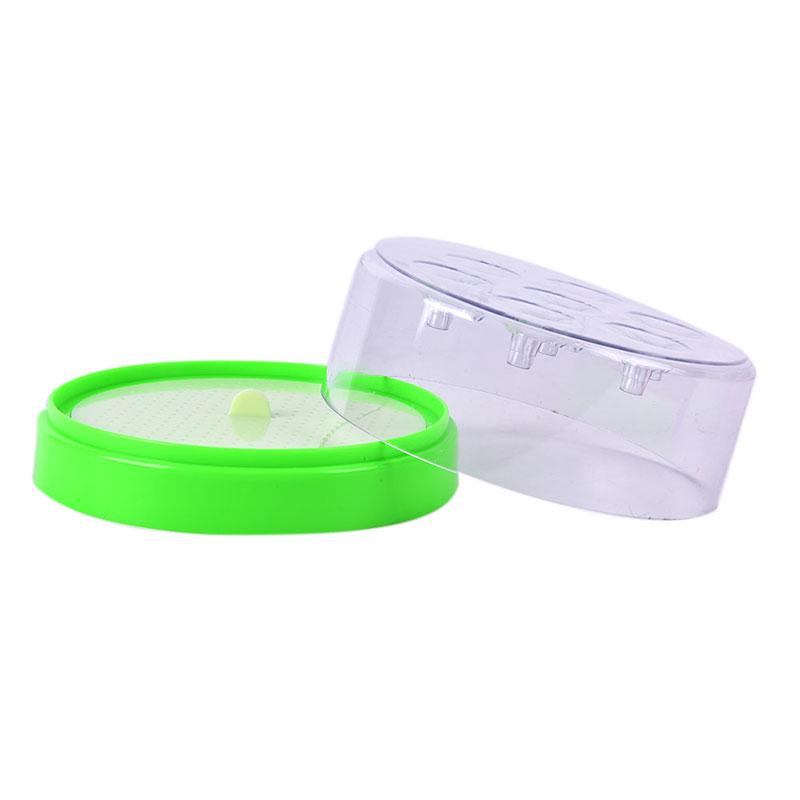 Buy Reusable Clear Green Catcher Flies Killer Attractants Included Bait ...