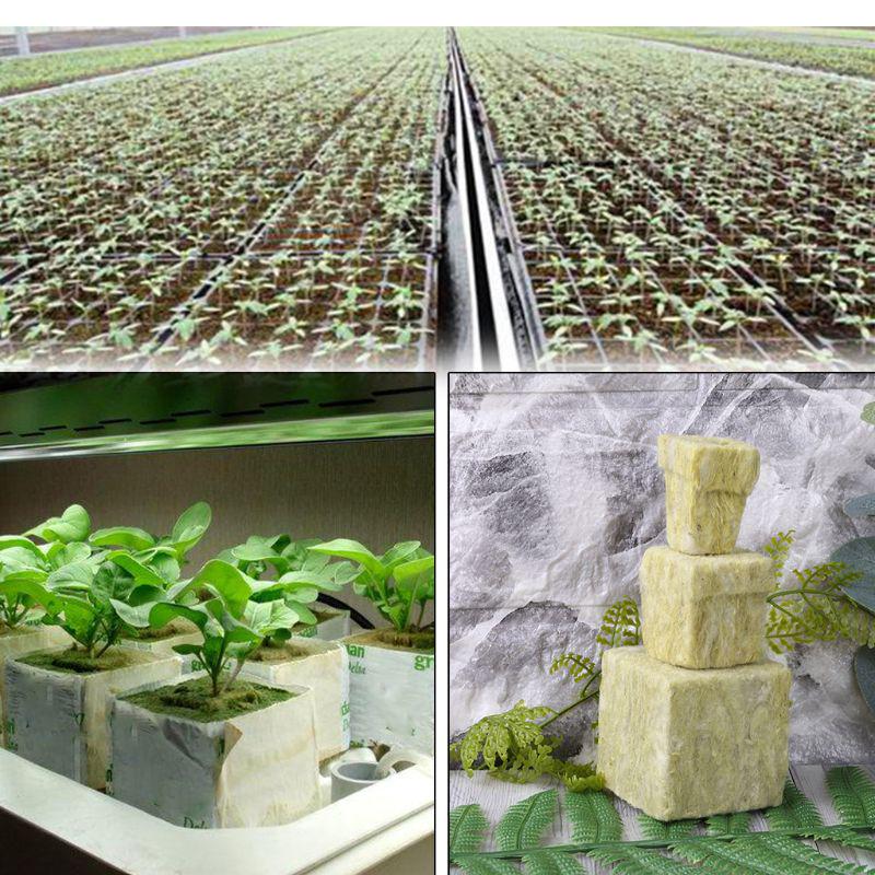 Buy Rockwool Plant Starter Cube Hydroponic Grow Soilless Cultivation ...