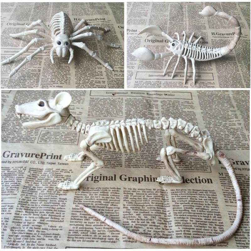 Cumpără Animal Skeleton Model Mouse Rat / Spider / Scorpion Bones ...