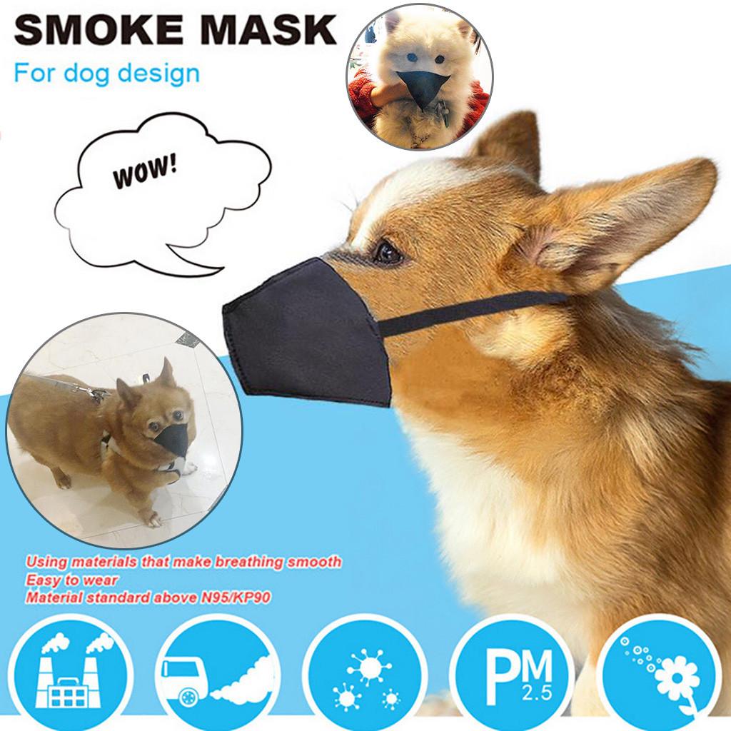 Buy AP 3Pcs Dog Soft Cotton Mouth Mask Pet Respiratory PM2.5 Filter ...