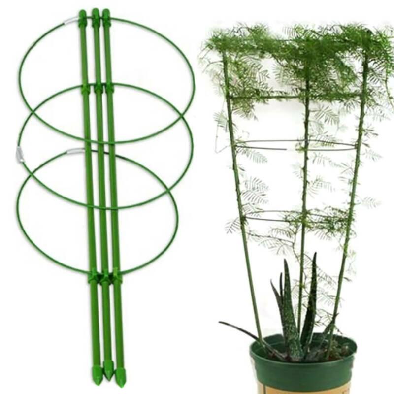 Buy Plant Flower Supports Outdoor Fix Vegetable Growing Ring Circular ...