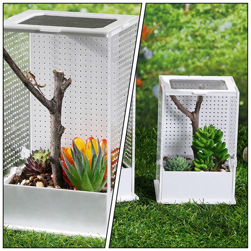 Acrylic Insect Feeder, Mantis, Landscape Observation, Reptile Cage ...