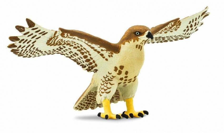 Buy Safari Bird Red-Tailed Buzzard Junior 14,5 Cm Red/Brown at ...