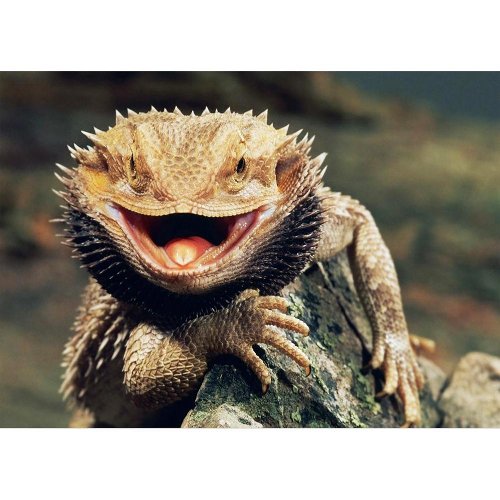 5D DIY Full Drill Diamond Painting Lizard Cross Stitch Embroidery ...