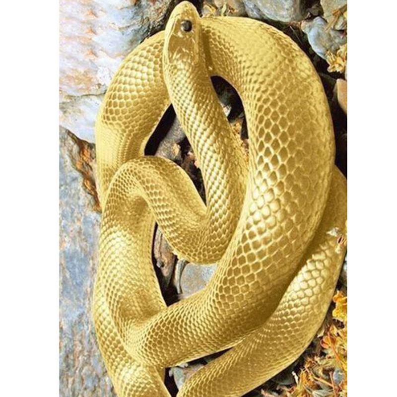 Buy Round 5D DIY Full Square/Round Diamond Painting Golden Snake Home ...