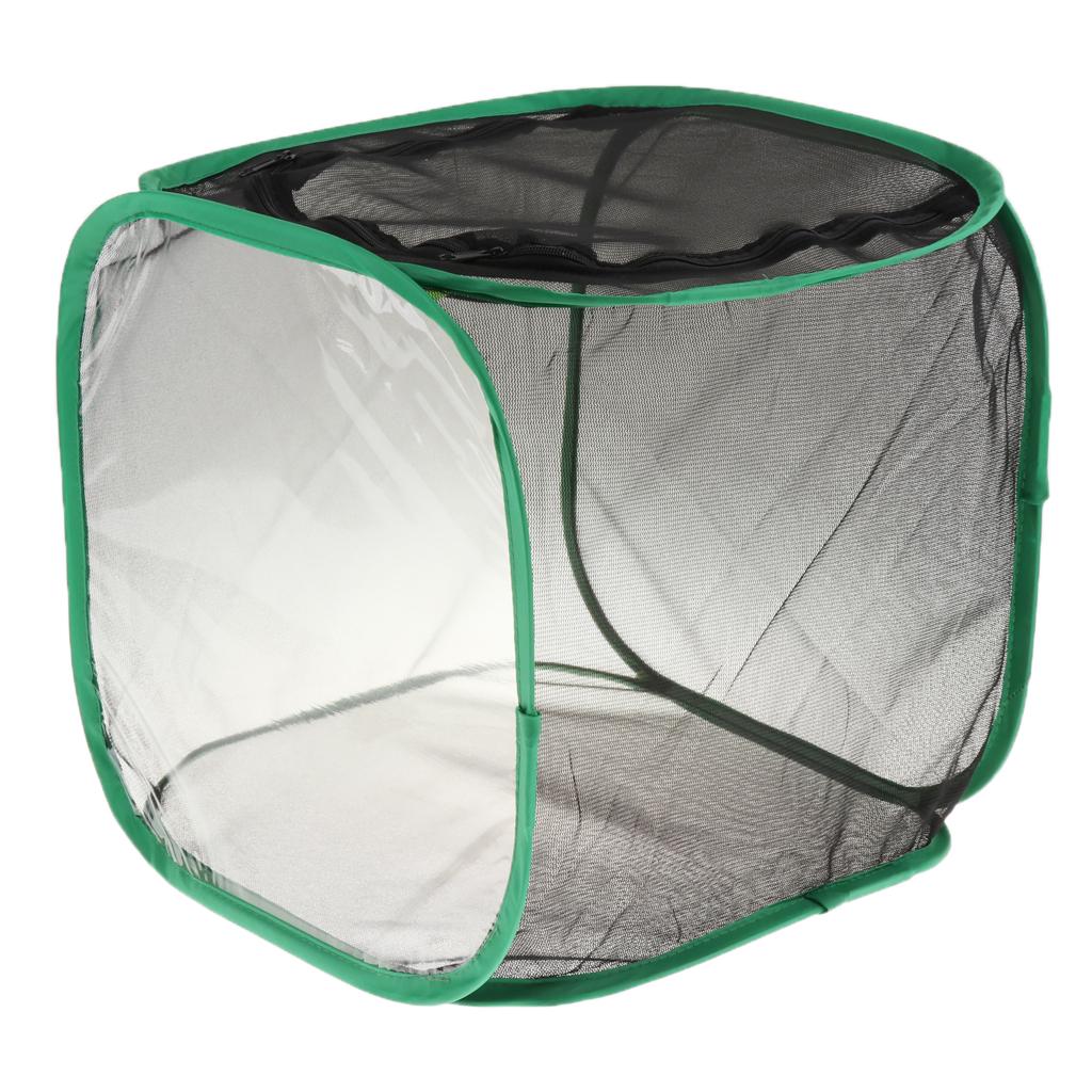 Buy Collapsible Insect and Butterfly Habitat Net Terrarium Breeding ...