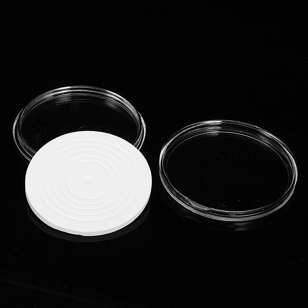 Buy 10Pcs 16/21/26/31/36mm PS Acrylic Adjustable Coin Case Capsules ...