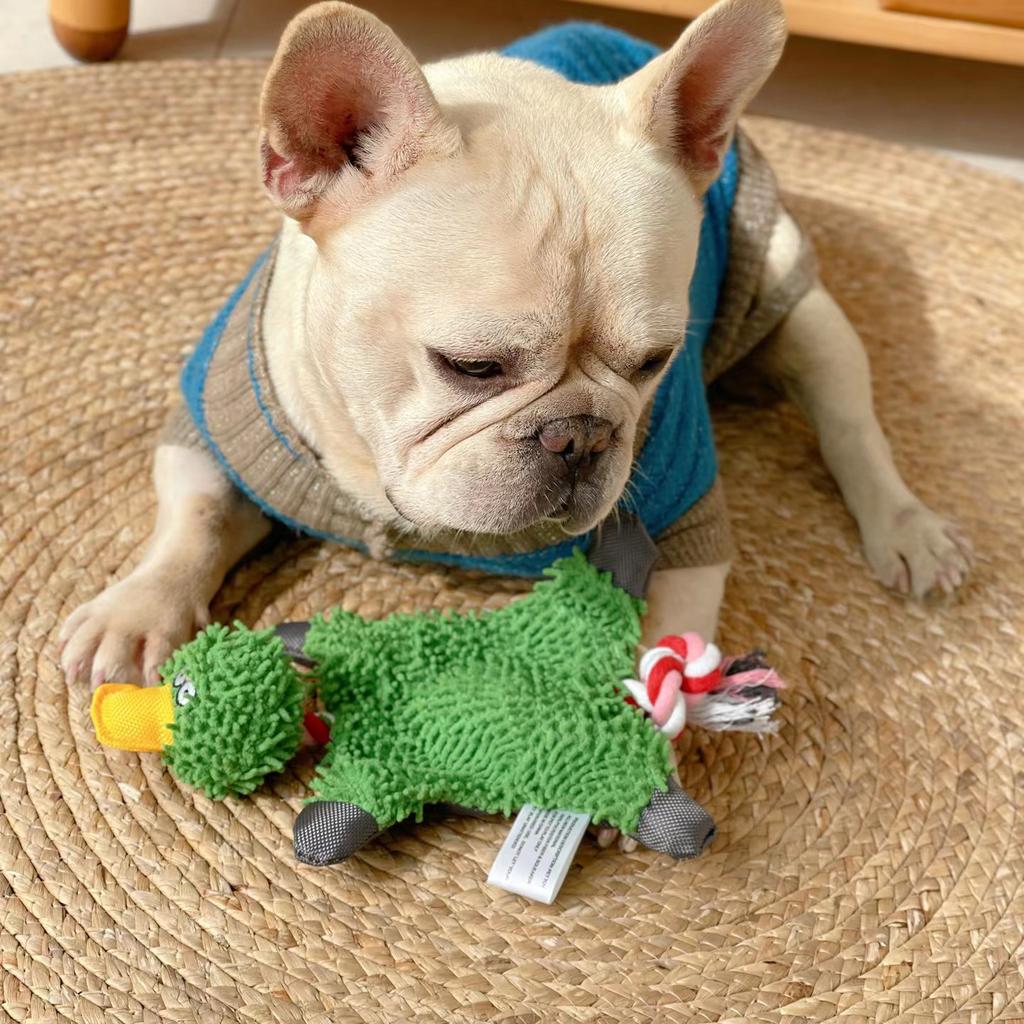 Buy Pet Rattle Paper Toys, Teeth Grinding and Cleaning Consume Physical ...