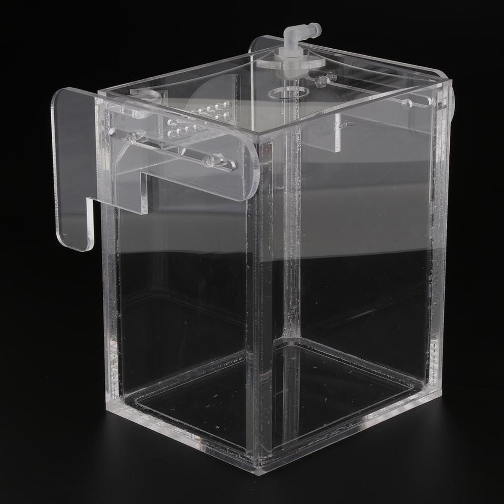 Buy Multifunction External Filter Box Fish Isolation Clear For Tank at ...