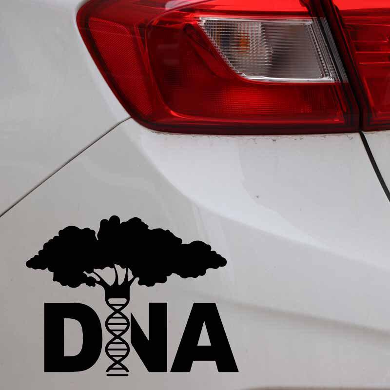 Buy DNA Tree Genetics Biology Molecule Science Vinly Decal Art Car ...