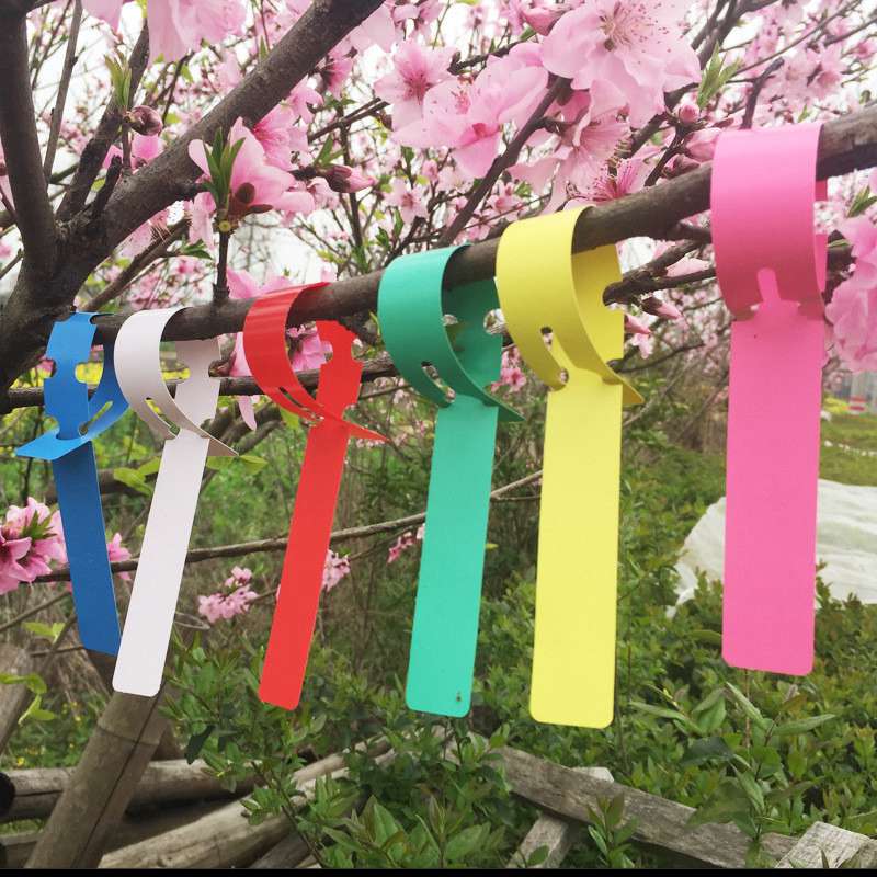 Buy Plastic Ring Label Card Marking 100 PCS Flowers and Plants Loop ...