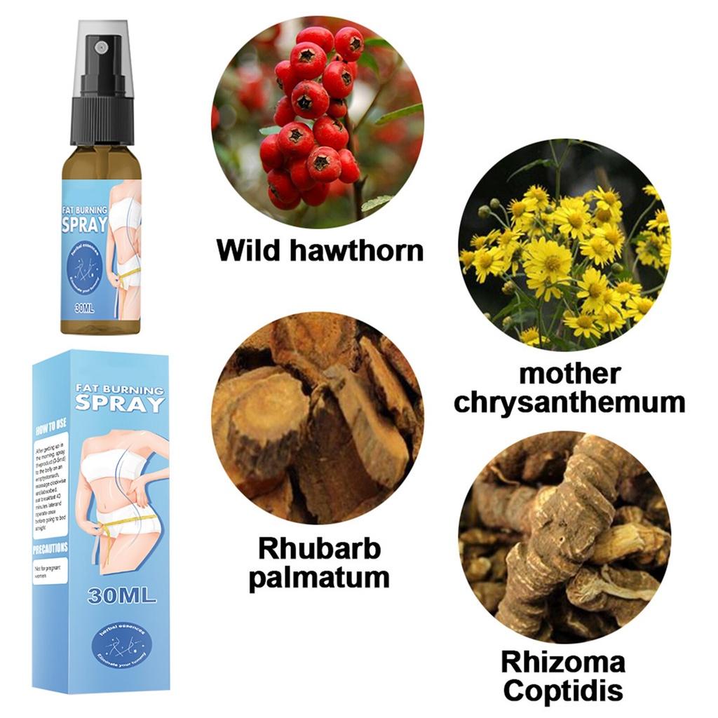 Eelhoe Fat Burning Spray Reviews