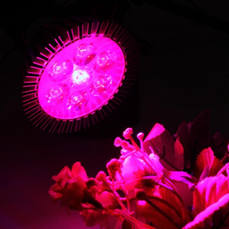 Buy Blue Red LED Grow Light E27 E26 AC85-265V Full Spectrum Growing ...