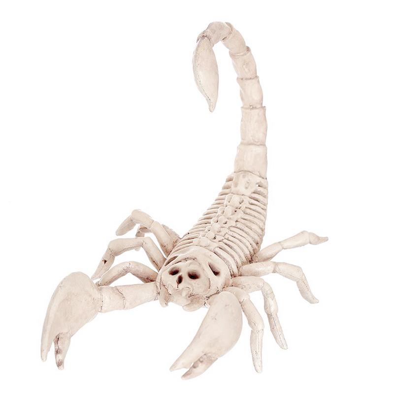 Simülasyon hayvan iskelet modeli Akrep iskelet Kemik uygun fiyatlı ...