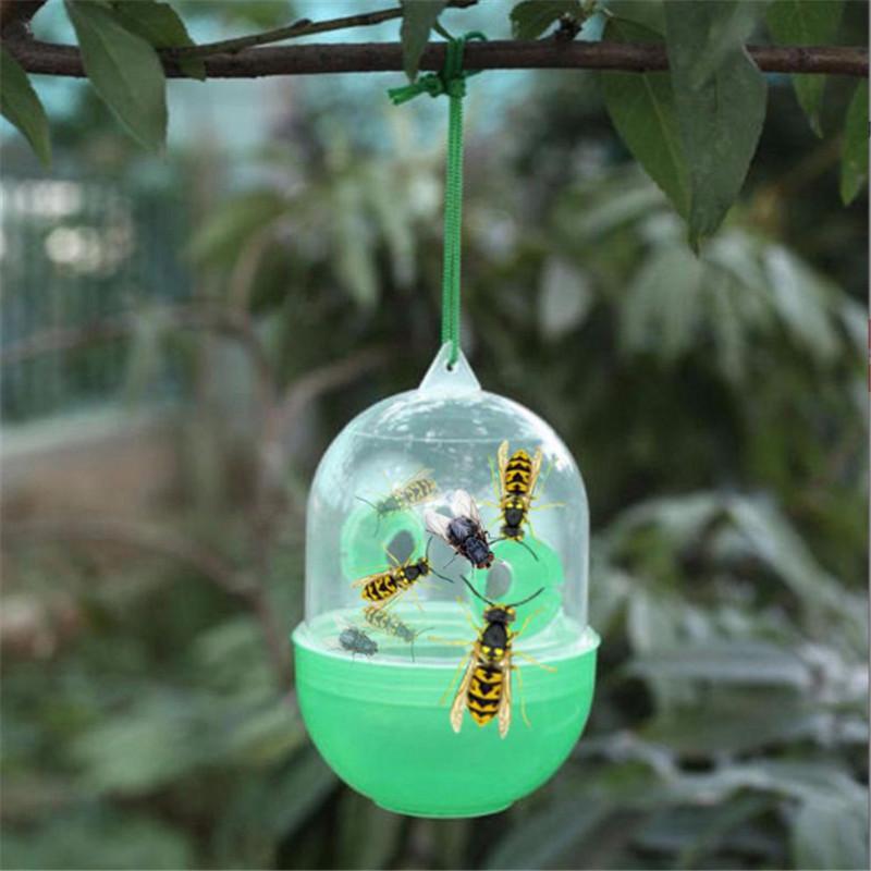 Buy Wasp Fly Flies Bee Insects Hanging Catcher Killer Chemical Insect ...