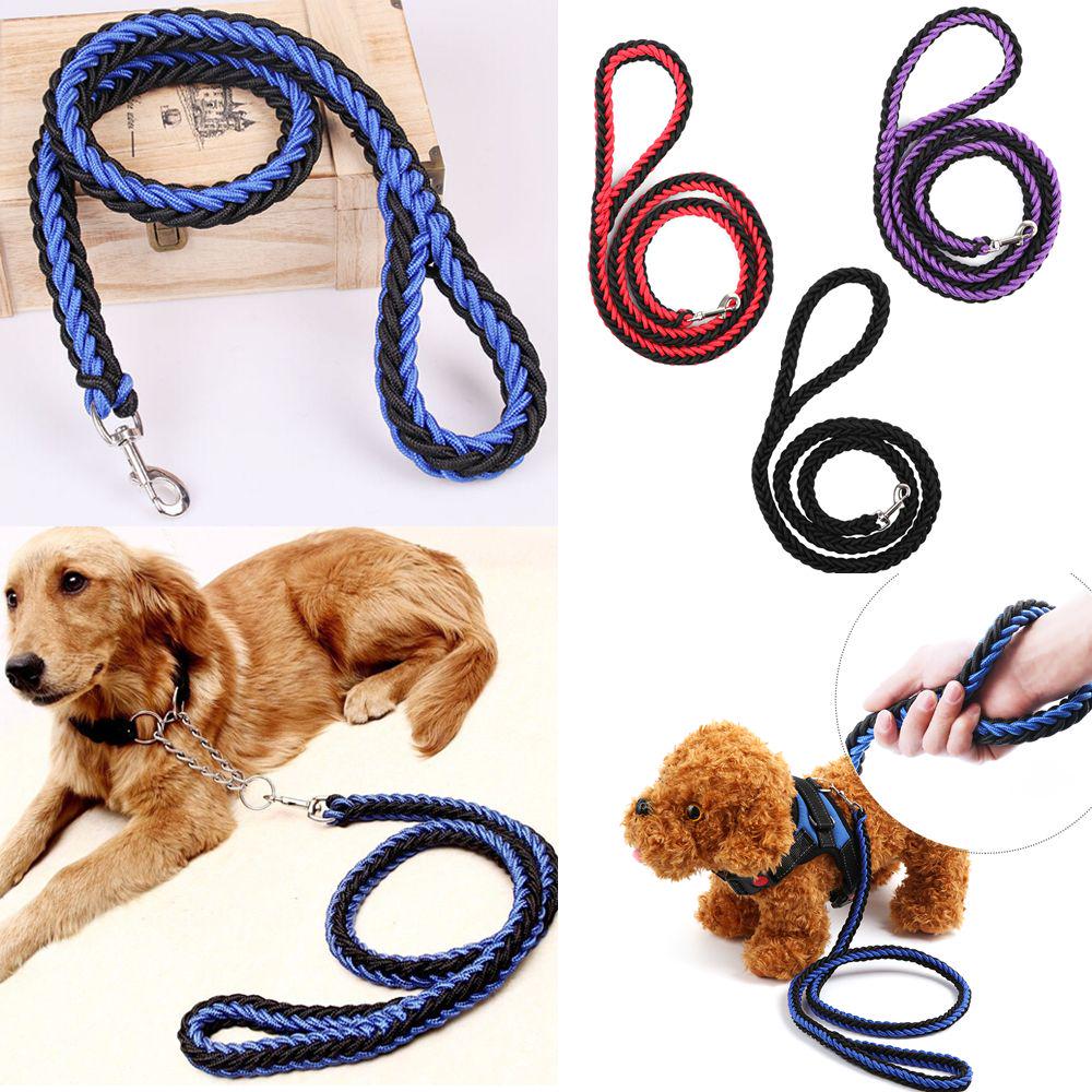 Buy Upgraded Collar Colorful Pet Traction Rope Chest Strap Puppy ...