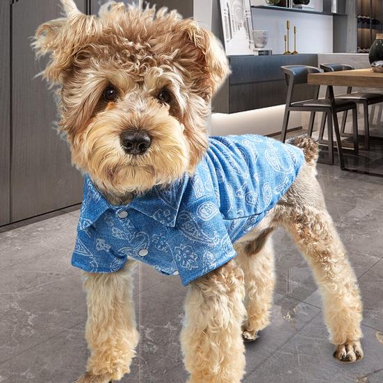 Satın alın Trendy Adorable Fashion Air Permeable Pullover Type Comfy ...