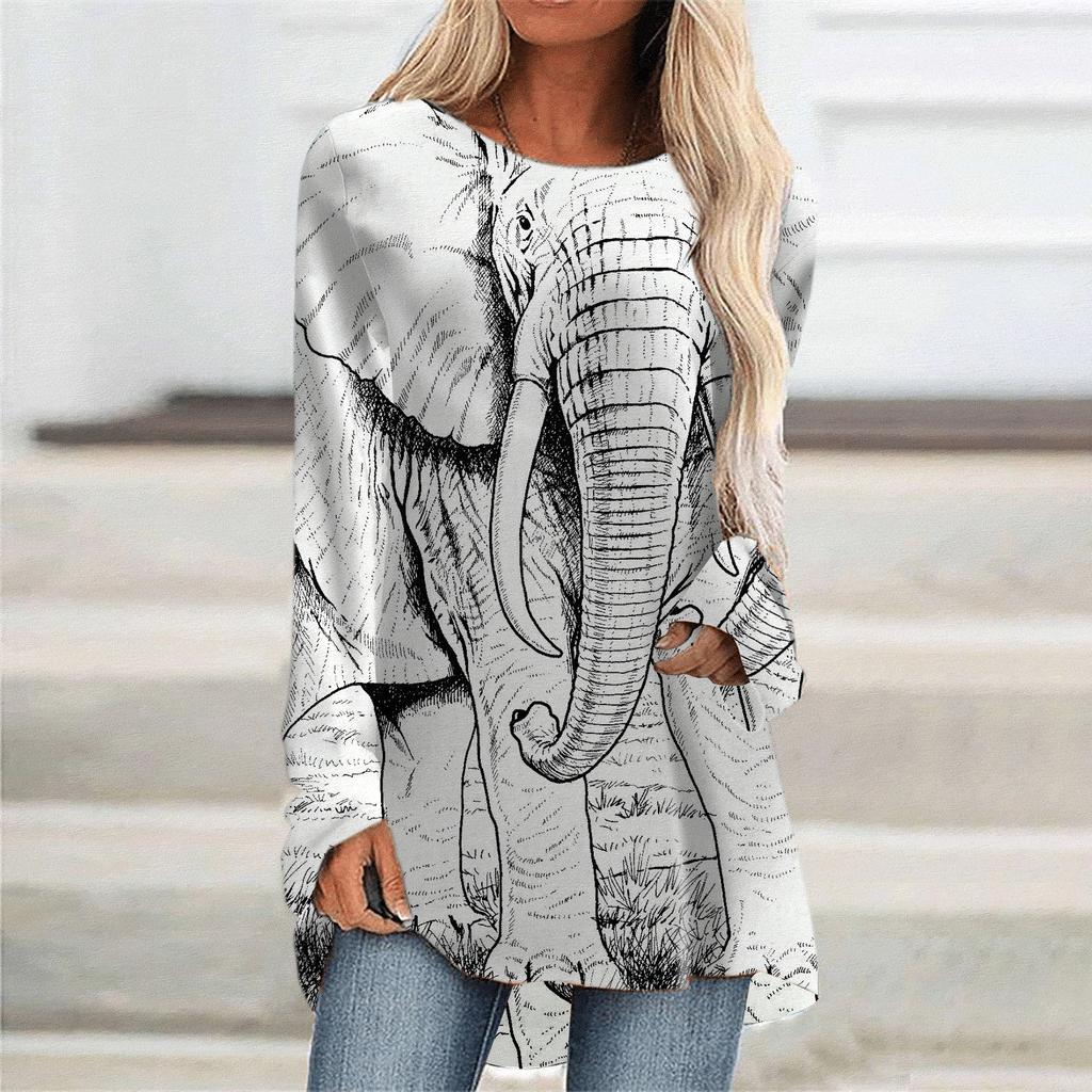 Buy Fashion Women's Loose Long-sleeved Top Casual Crewneck Autumn ...
