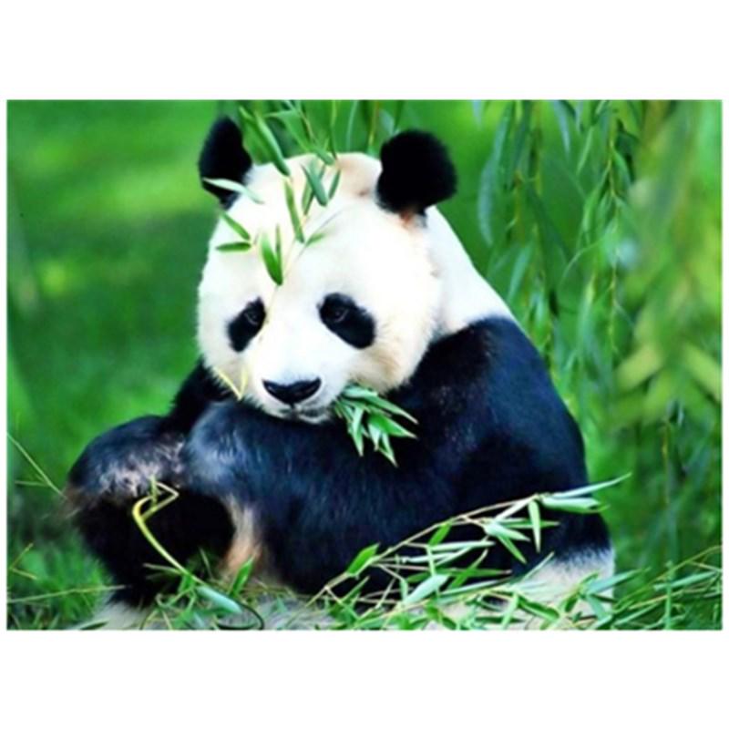 Buy 5d Diamond Painting Pandas Eat Bamboo Full Round Embroidery Craft ...