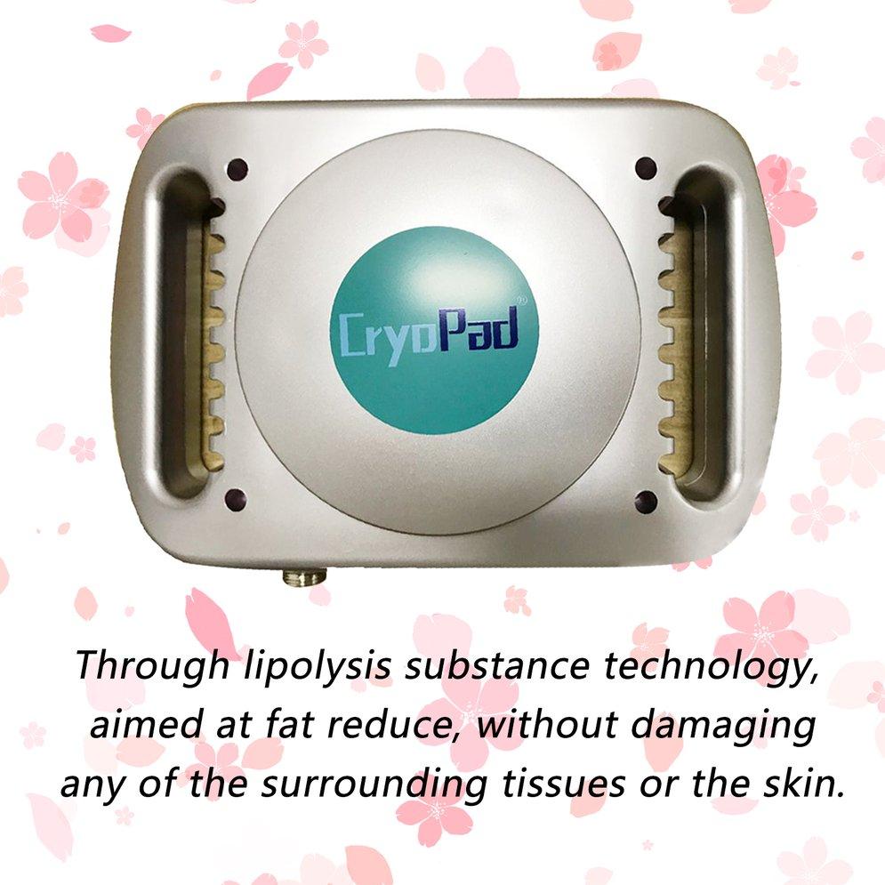Buy Cryolipolysis Lipo Freeze Fat Body Slimming Weight Loss Belt Safe ...
