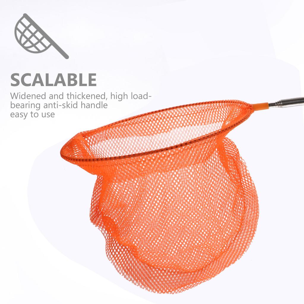 Buy 3pcs Professional Insect Net Butterflies Catching Net Retractable ...