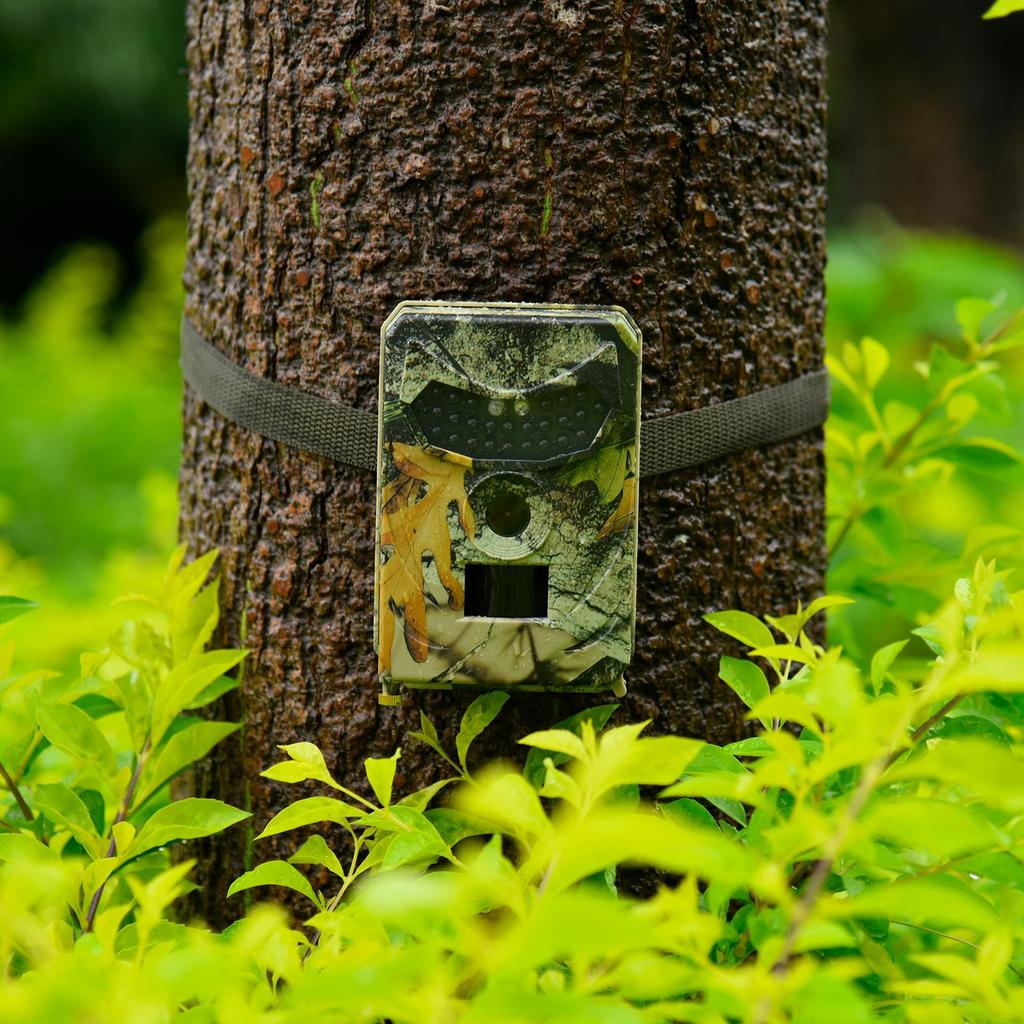 Compre Forest Camera Outdoor camera Night vision waterproof recording ...