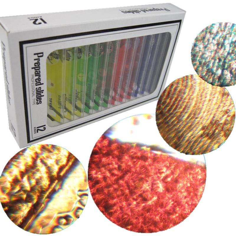 Buy Animals Insects Plants Flowers Plastic Prepared Microscope Slides ...