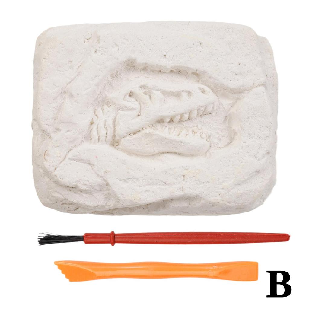 Buy Dinosaur Fossil Excavation Toys Archaeological Dig For Children ...