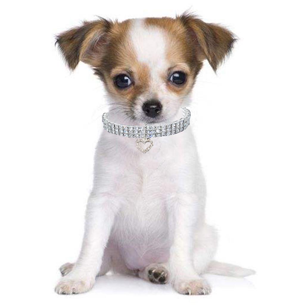 Buy Mini Pet Dogs Bling Rhinestone Chocker Collars Fancy Dog Heart ...