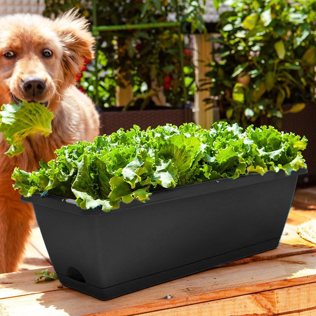 Buy Plastic Rectangular Box Large Garden Planter Pot Plastic Plant Pot ...