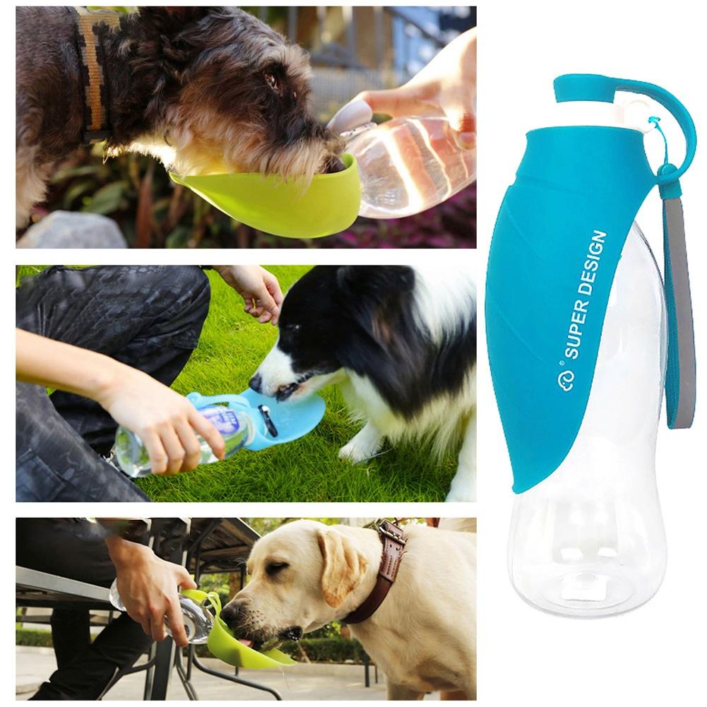 Buy Portable Water Bottle 580ML Convenient Dog Outdoor Travel Water ...