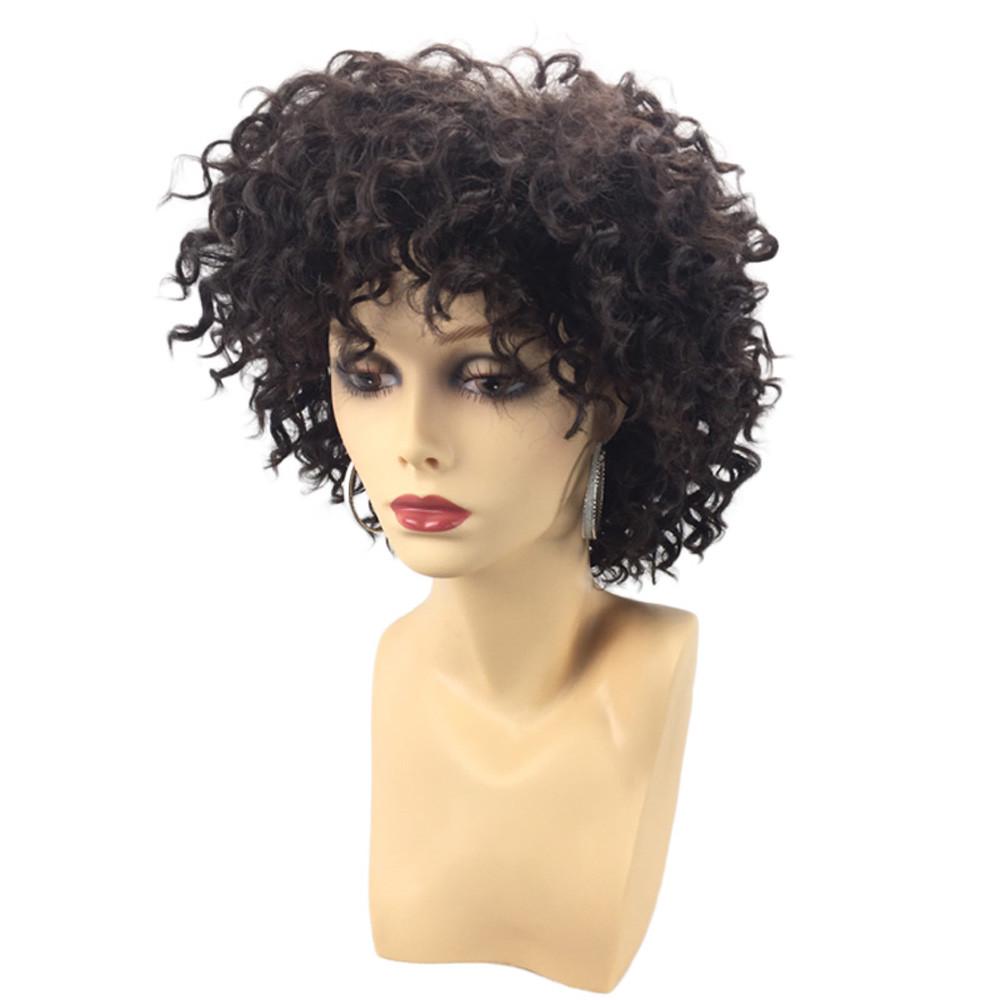 Buy Women Black Heat Resistance Wigs Short Side Fringe Fluffy Afro ...