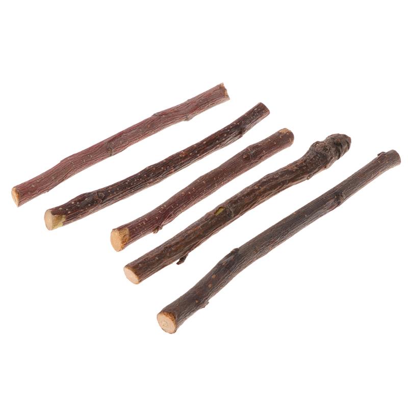 Buy 5pcs Chew Stick Apple Tree Branch Hamster Squirrel Natural Toys ...